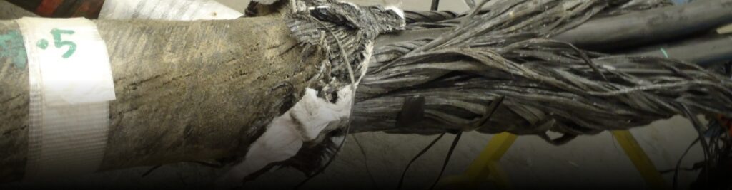 Cable Fatigue Life – BPP Renewables